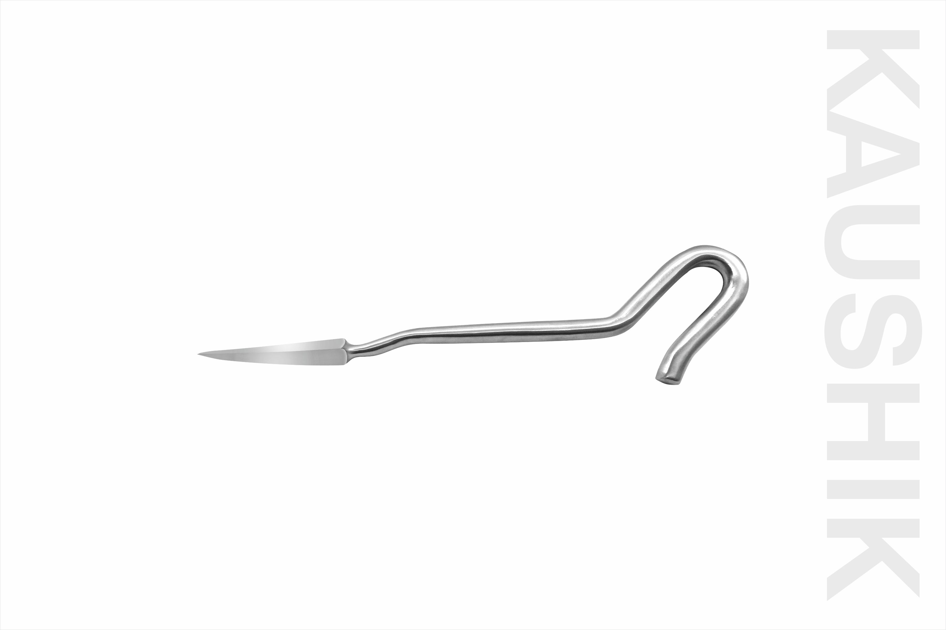 Bone Awl for Ender's Nail