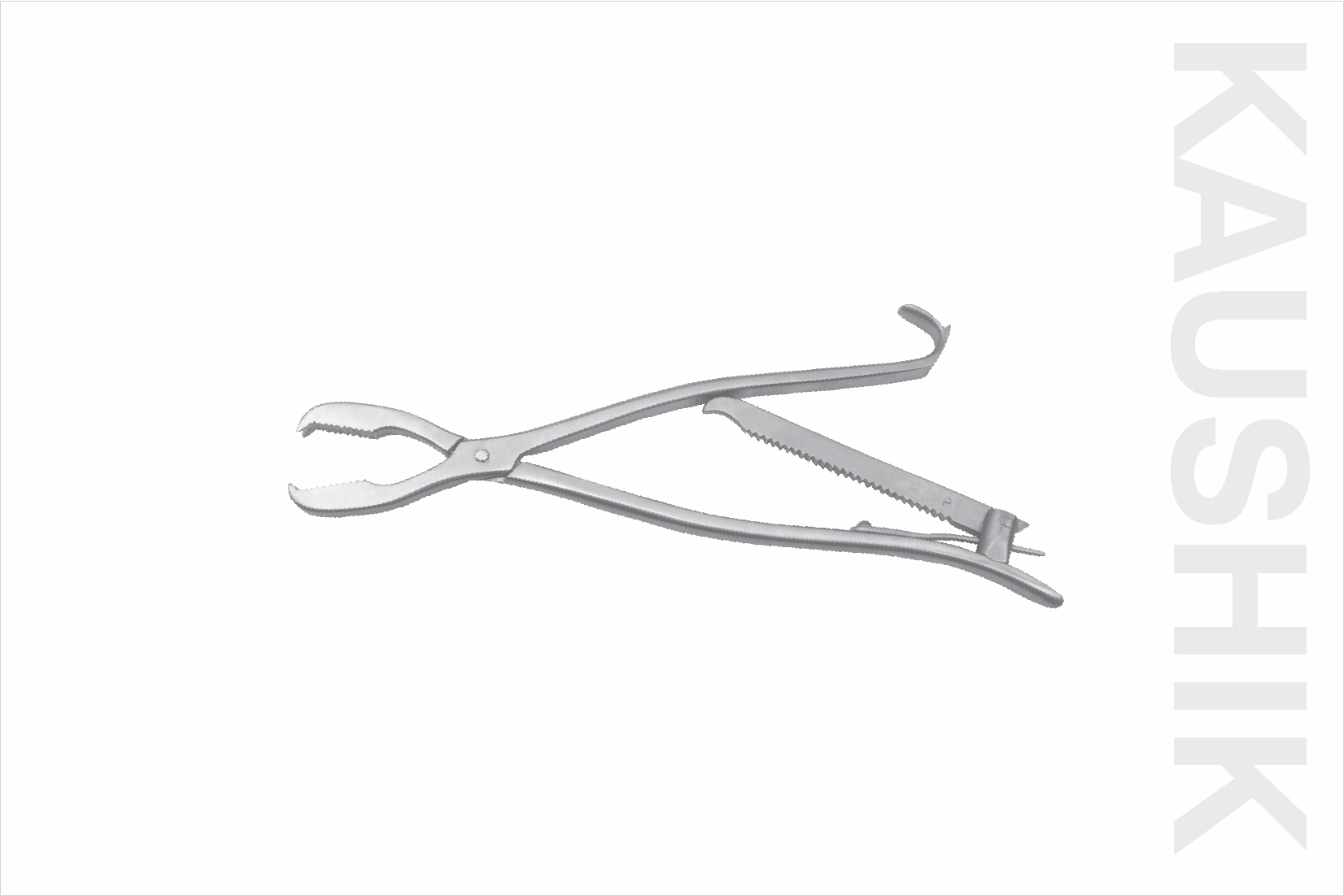 Lane's Bone Holding Forceps (without Ratchet)