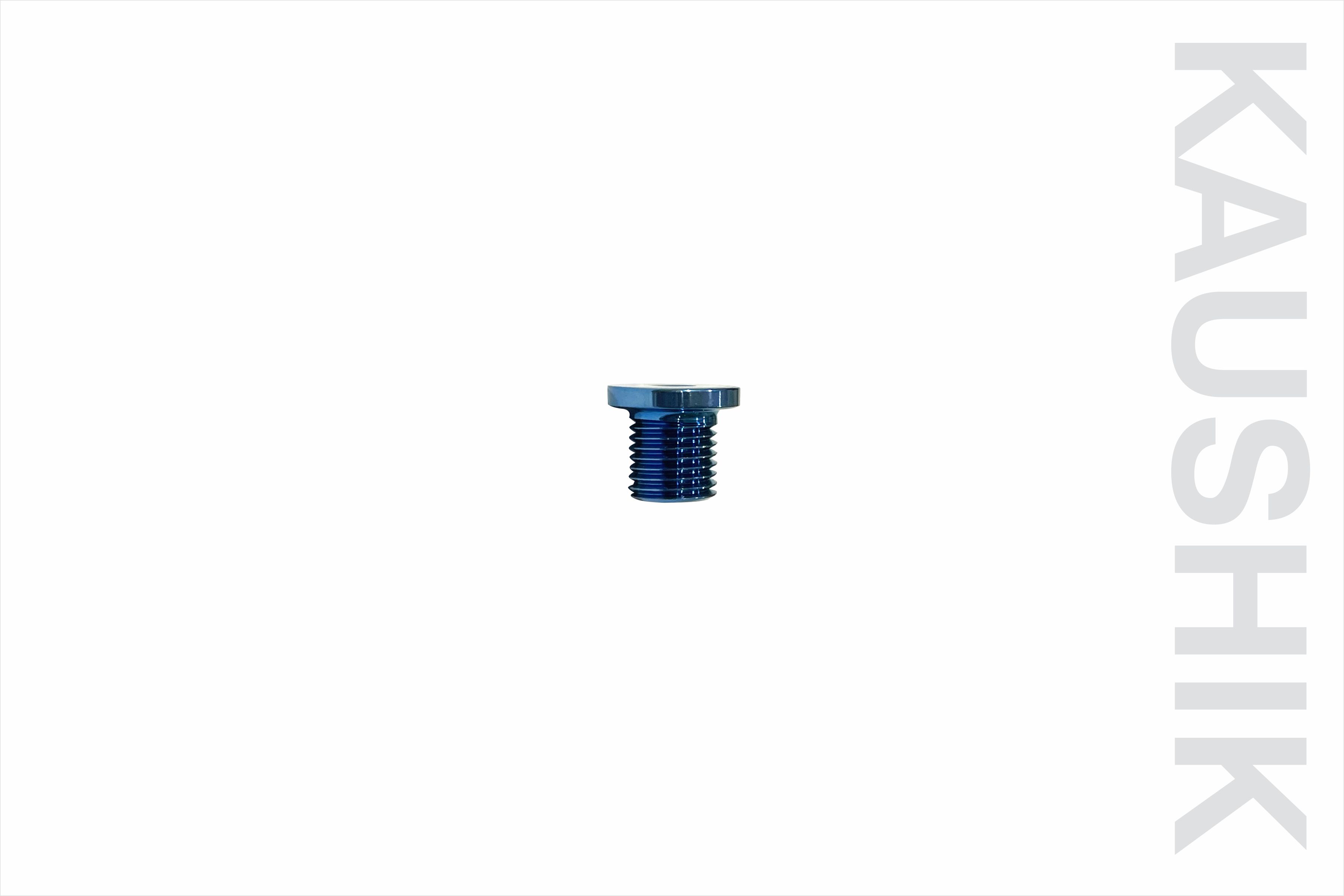 Nail End Cap | Best orthopedic products manufacturers, Top 10 Ortho ...